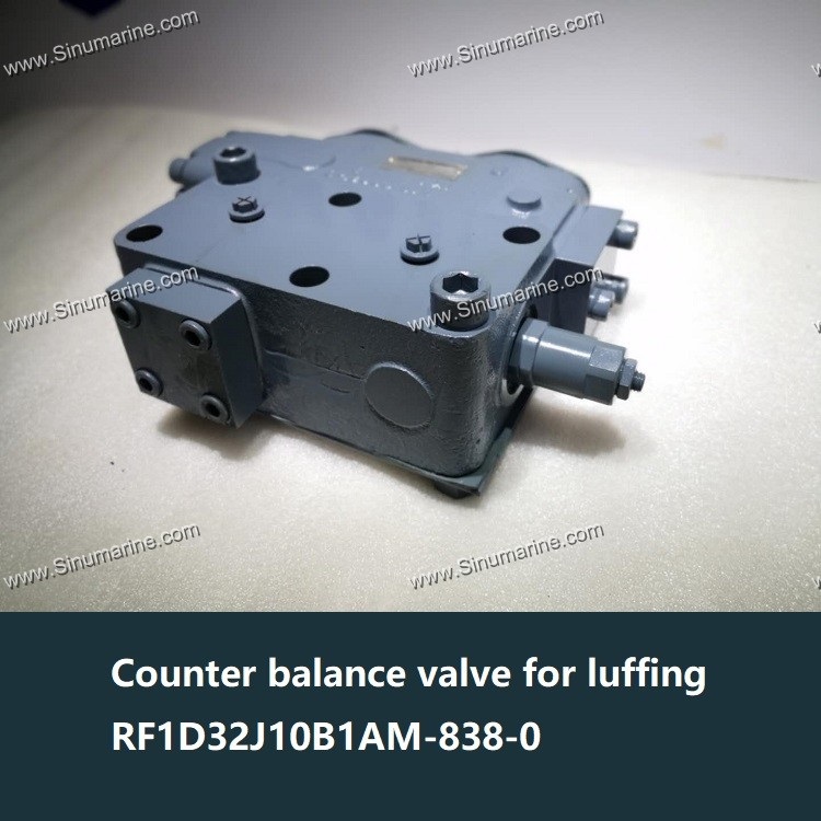 RF1D32J10B1AM-838-0 Counter balance valve for luffing