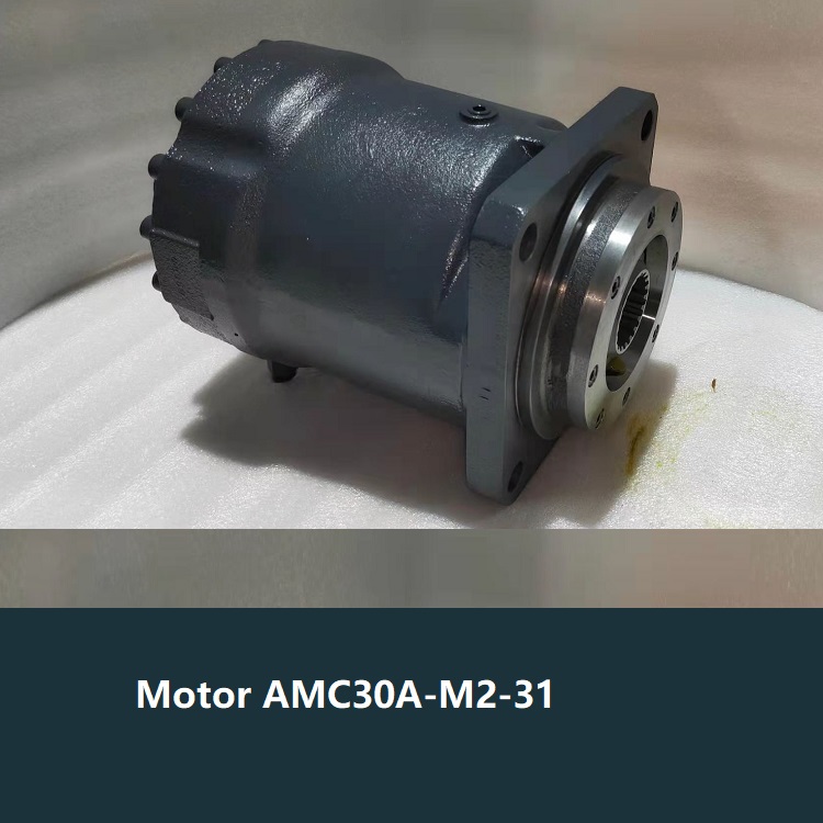 DECK CRANE LUFFING MOTOR AMC30A-M2-31