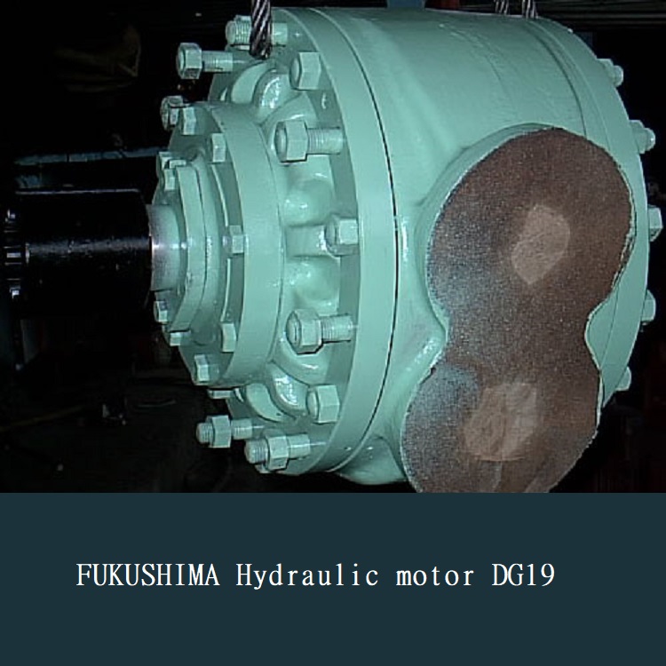 FUKUSHIMA Hydraulic motor DG19 LUFFING&HOISTING oil motor