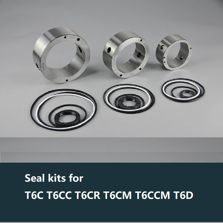 Seal kits for T6C T6CC T6CR T6CM T6CCM T6D DENISON hydraulic pump