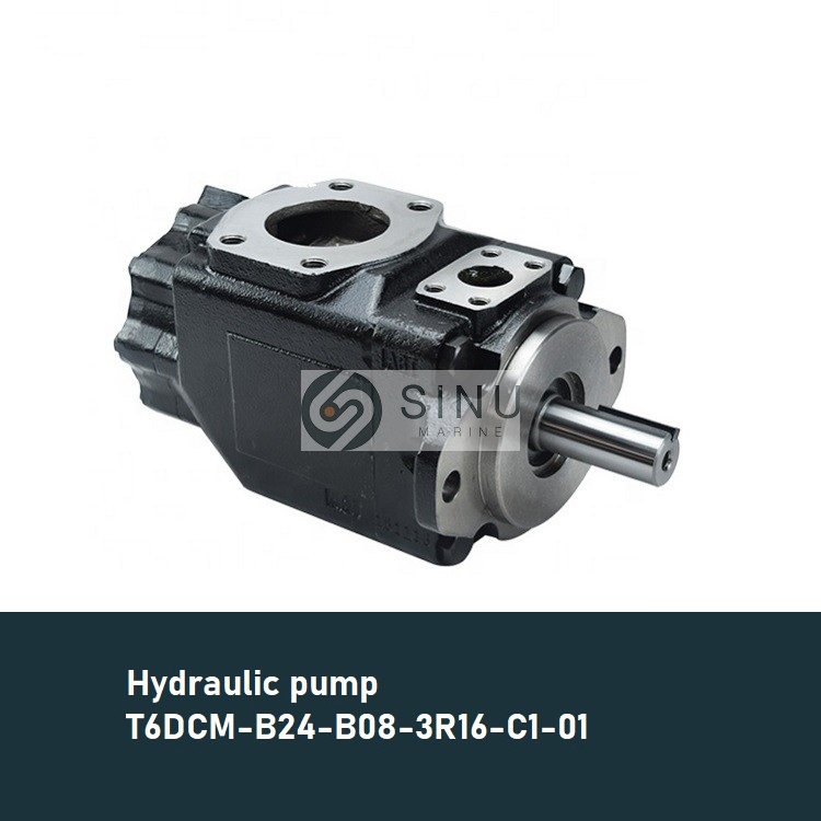 hydraulic pump T6DCM-B24-B08-3R16-C1-01 for hatch cover windlass